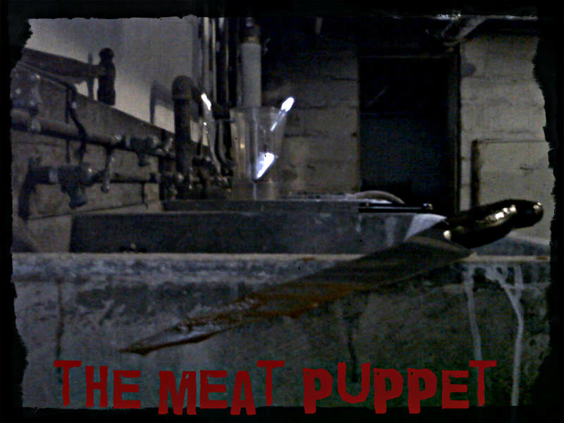 DAILY FILM FORUM: MOVIE SPOTLIGHT - "THE MEAT PUPPET"