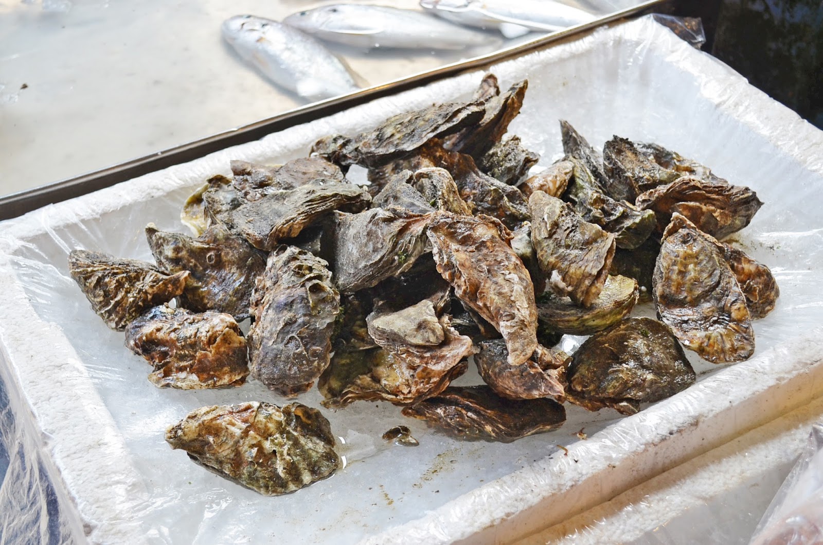 Trip To Taiwan 台湾: Yilan 宜兰 - Nanfangao Nanning Fish Market 南方澳南宁鱼市场 ...