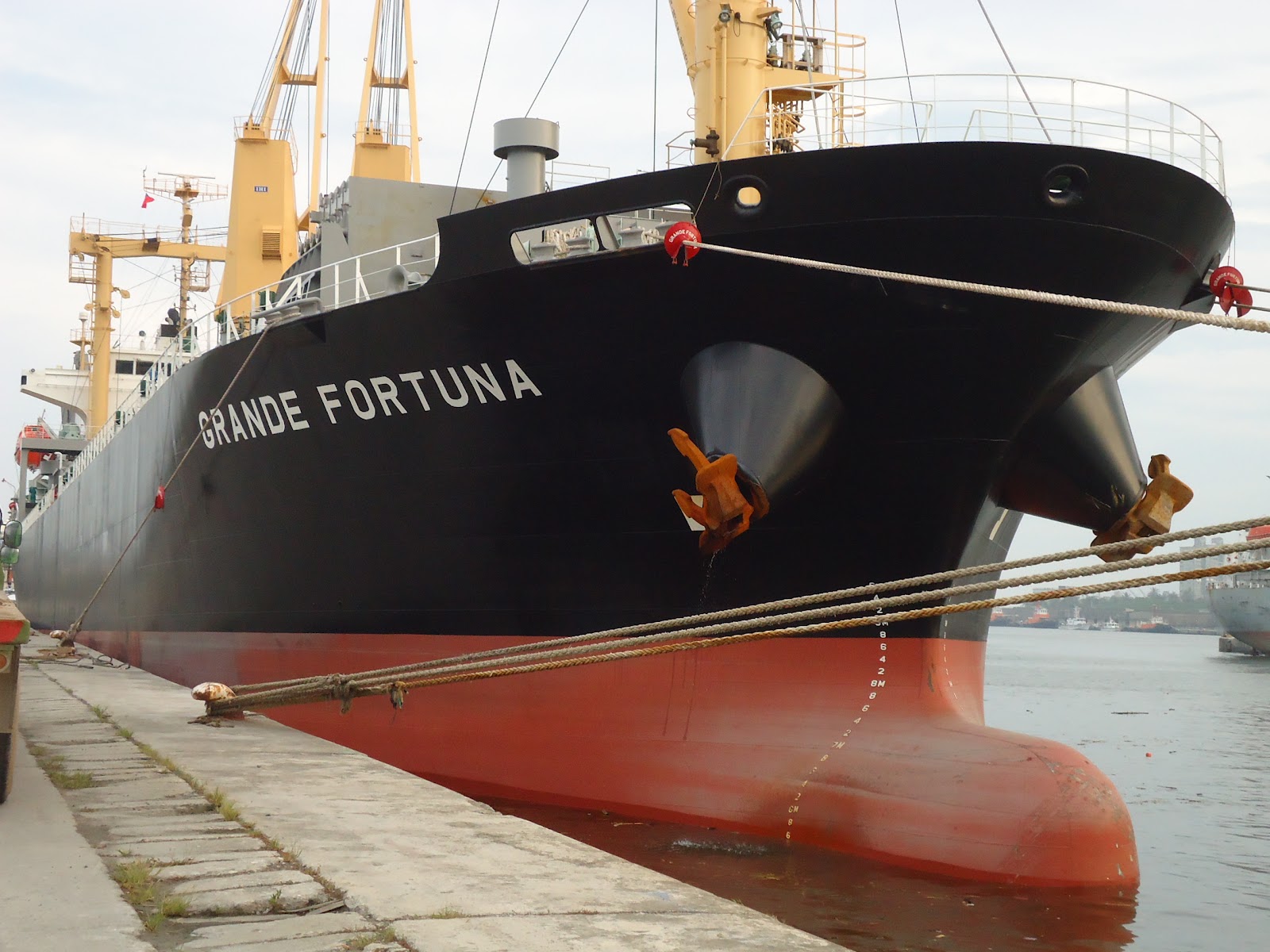 APOSTLESHIP OF THE SEA in Hualien (Taiwan): GRANDE FORTUNA SHIP CREW VISIT