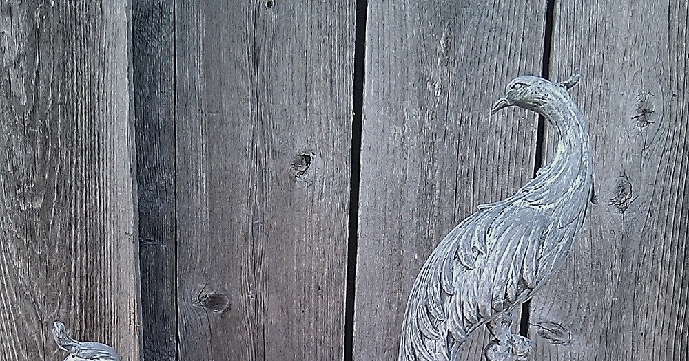 villabarnes: Old World Birds