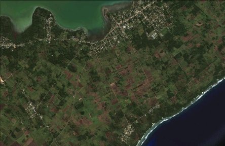 Tongan Tropical Moist Forests: Forest Cover