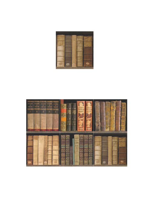 Cactus Stone & Tile: "Museum - Books" Porcelain Tile