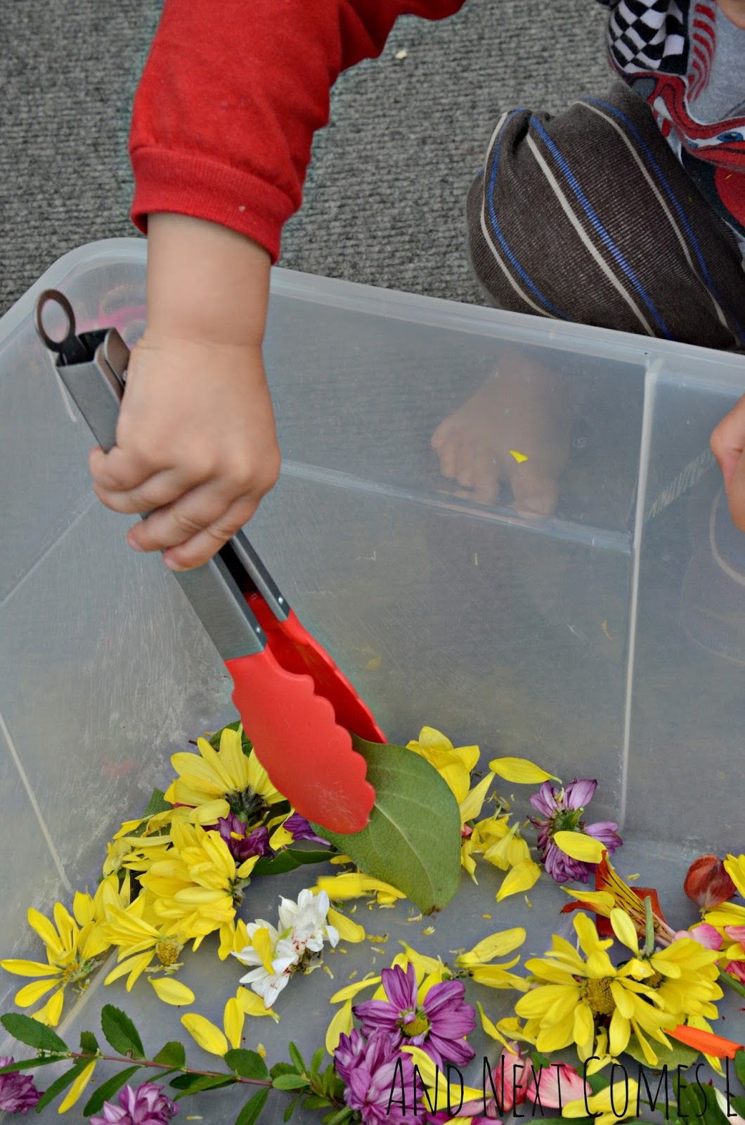 Flower Sensory Bin & Fine Motor Activity for Kids | And Next Comes L ...