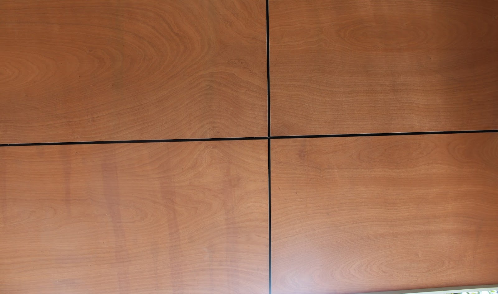 Carine Dream: Exterior ceilings - work in progress!