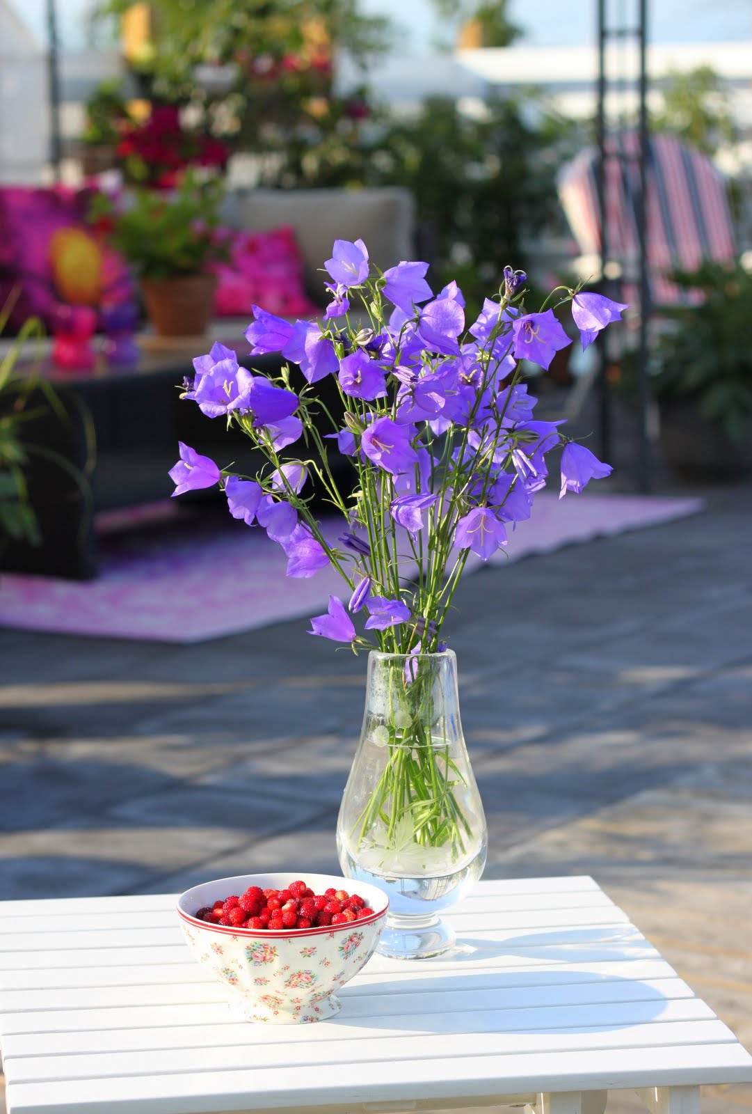 carinashousebythesea: Solvarma smultron