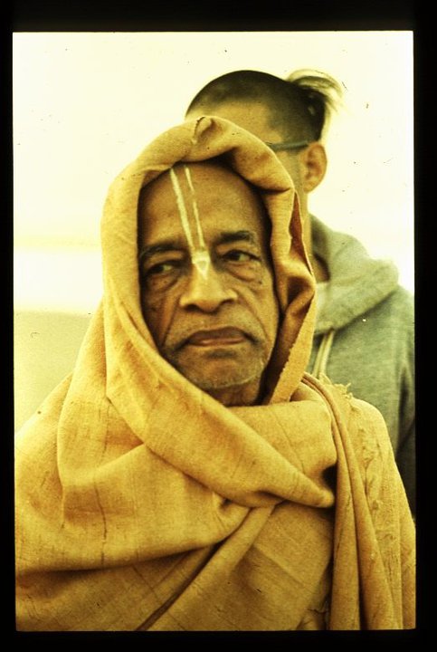 Sri Nrsimhadevadas: Aves y plantas mencionadas en la Literatura Védica ...