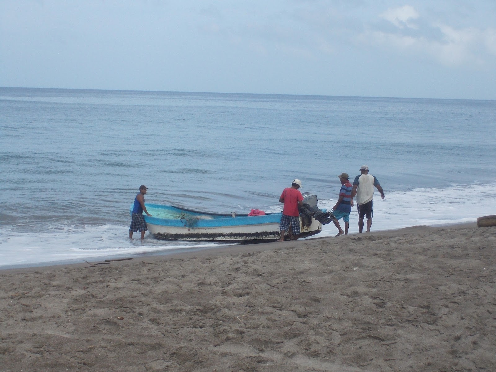 COQUÍN DE LOS BOSQUES EN CENTRO AMÉRICA: PLAYA GIGANTE, PLAYA AMARILLO ...