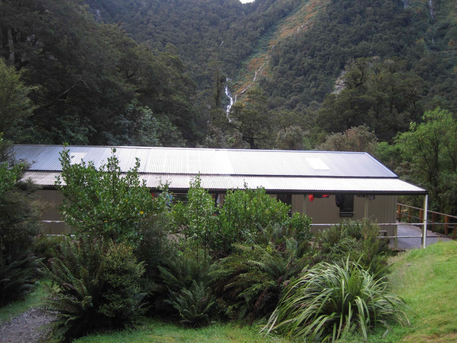 Carolyn in Aotearoa: Milford Track, Day Four: Dumpling Hut to Sandfly ...