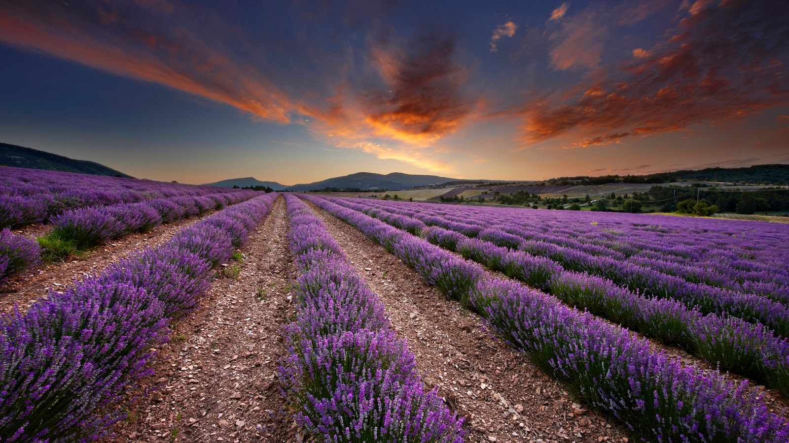 Top 10 beautifull sight wallpapers ~ Top Wallpy