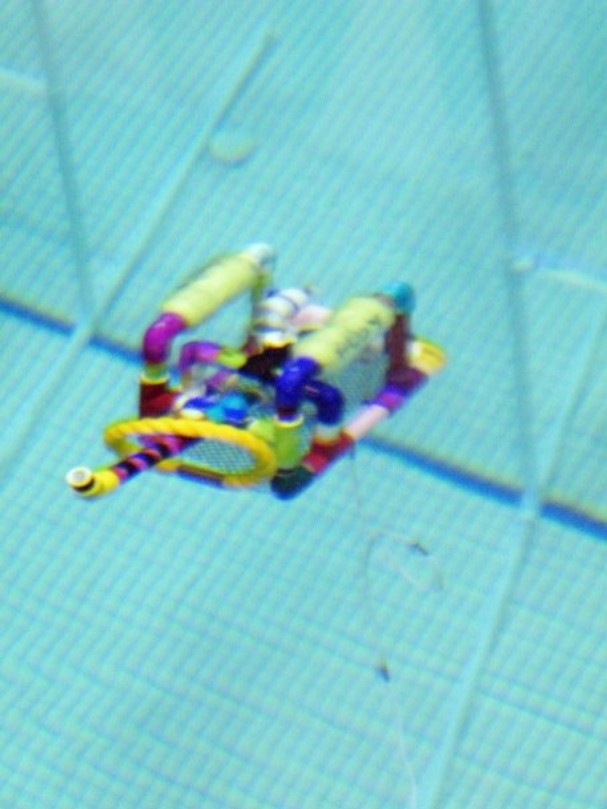 AA MAST Systems Engineering II, SeaPerch ROV : AA Background Information