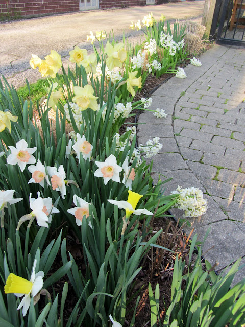 Gatsbys Gardens: Spring Debut