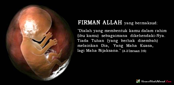 PENCIPTAAN DAN KEDUDUKAN MANUSIA DI DALAM RAHIM IBU | BACA, SUKA, FAHAM ...