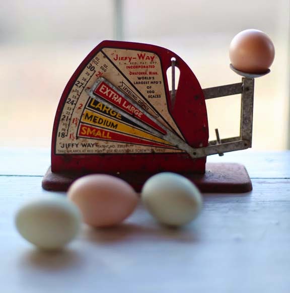 Getting Stitched on the Farm: Egging It + A Favorite Farm Recipe