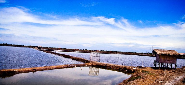 2 Jenis Perikanan di Indonesia beserta Contohnya - INFO PELAJARAN