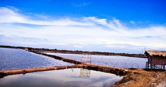 2 Jenis Perikanan di Indonesia beserta Contohnya | Berpendidikan
