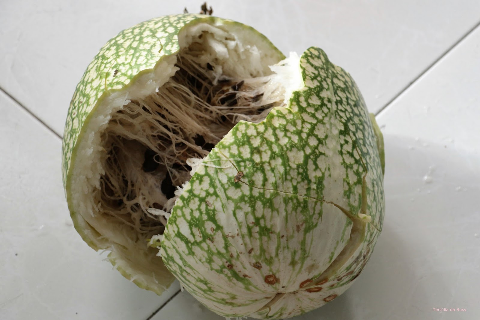 Doce de chila [ou gila] - Tertúlia da Susy