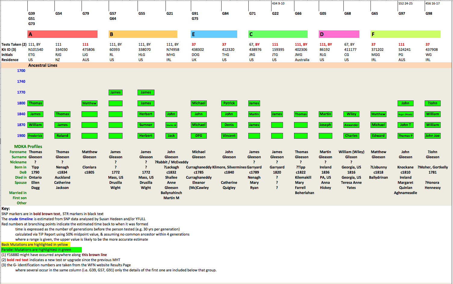 The Gleason / Gleeson DNA Project: L2 MHT - The Updated "Family Tree ...