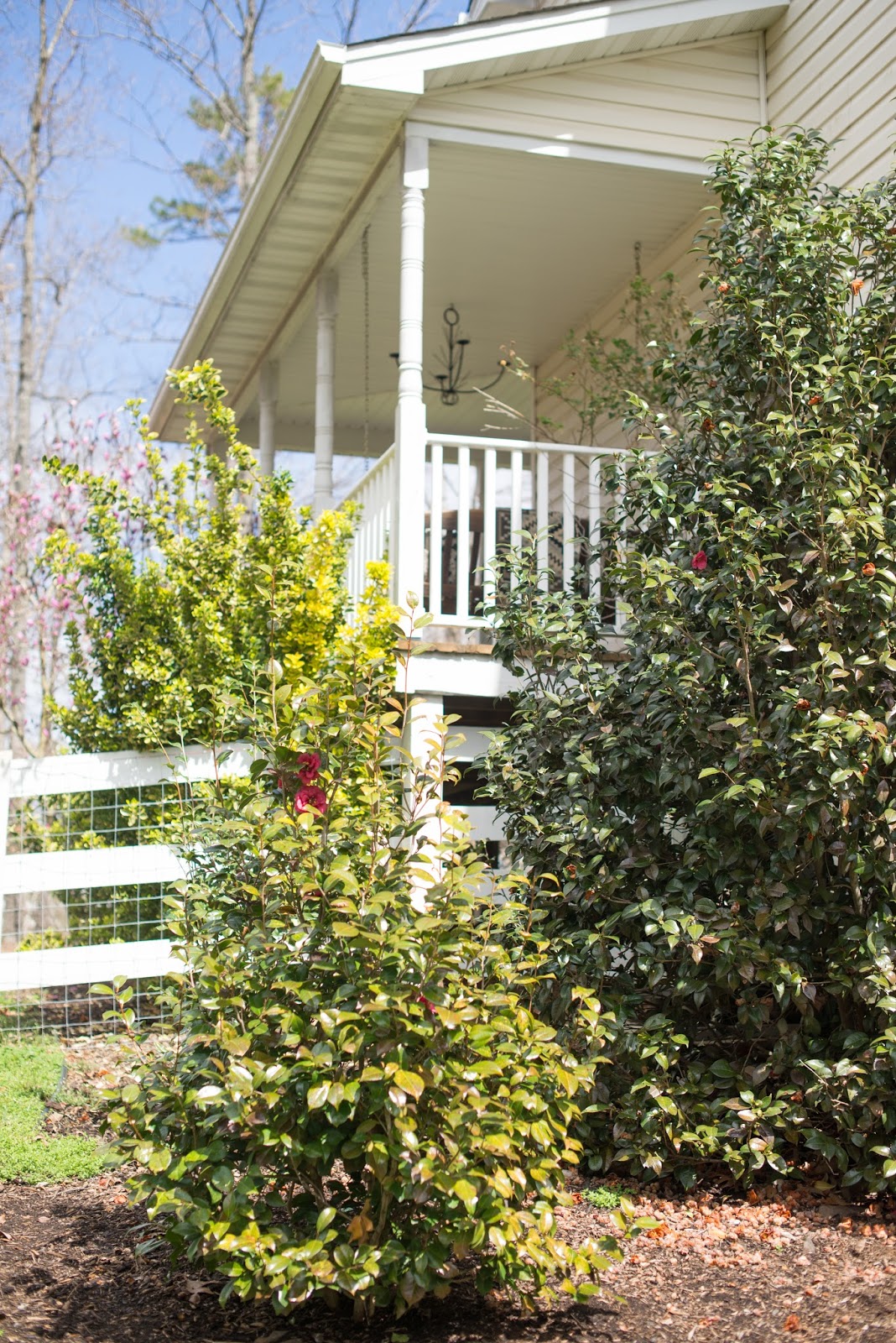 Domestic Fashionista: Spring At The Farmhouse