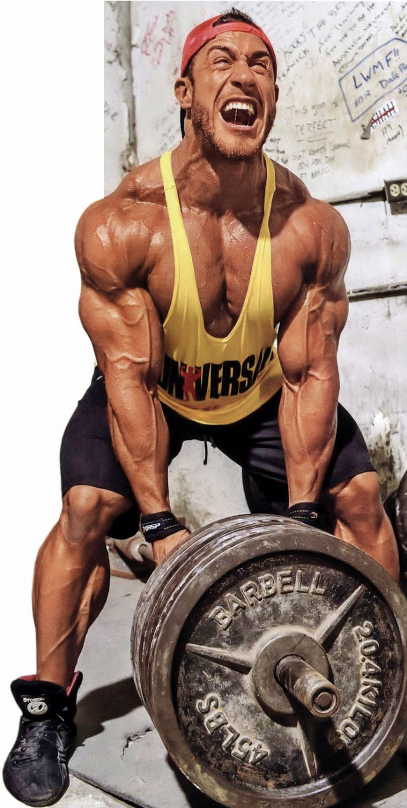 Antoine Vaillant, looking unreal : r/bodybuildingpics