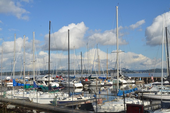 Leschi View Home with a Modern Vibe