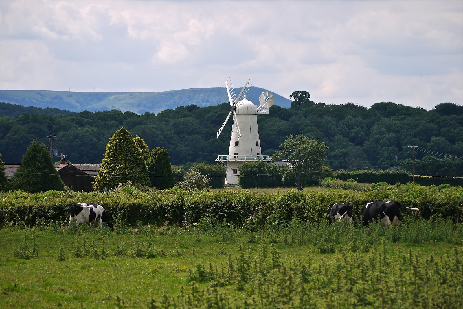 Walking in the country: Usk: Usk Castle and Gwehelog Common