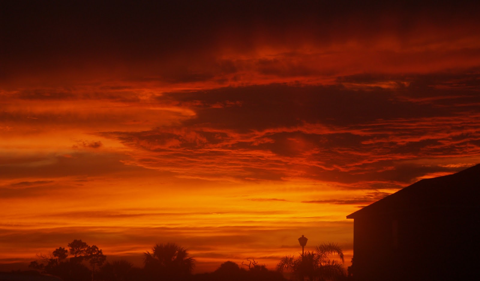 Nature and Home in Florida's Parkside West: Red Sky at Night