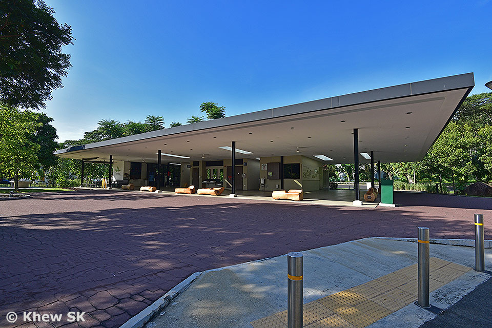 Butterflies of Singapore: Butterfly Photography at Our Local Parks ...