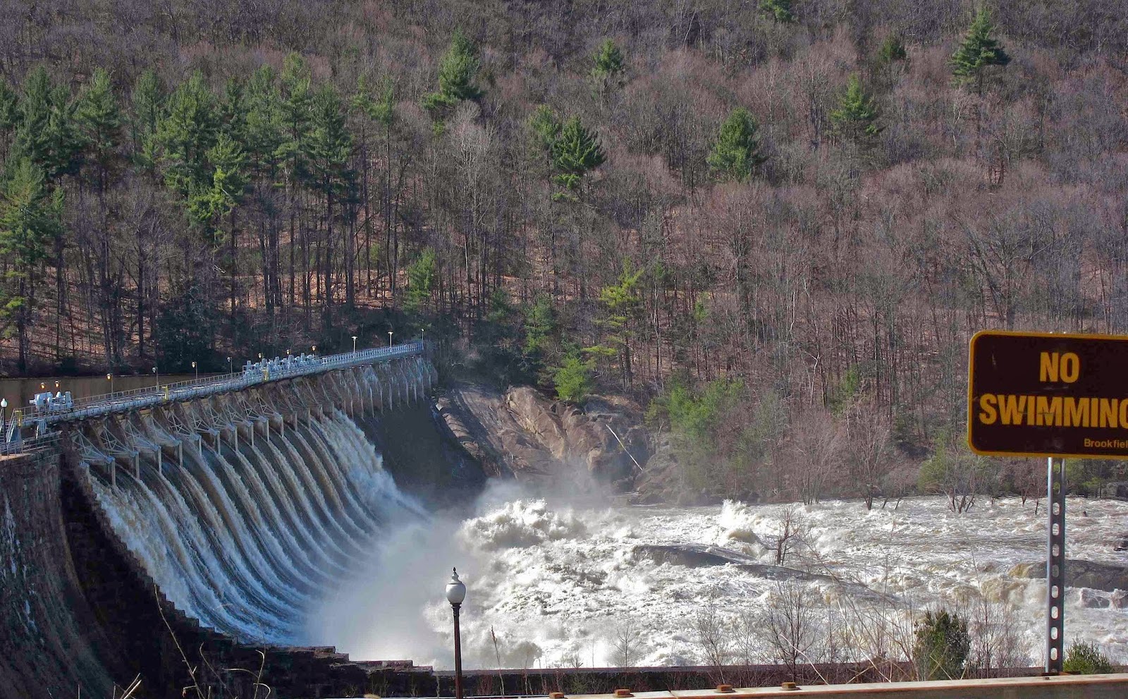 Saratoga woods and waterways: Roiling River