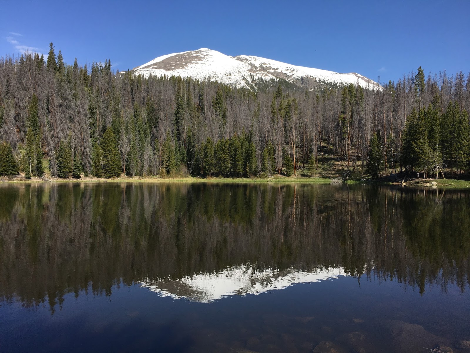 Summit County Home Team Blog: A Day in the Mountains of Summit County ...