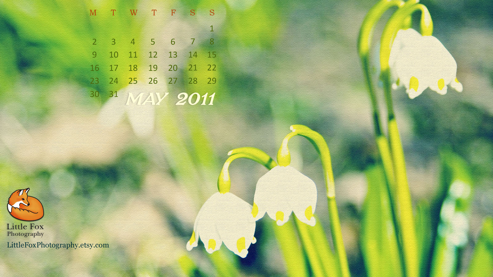 Nature and Wildlife Photography blog: Free desktop calendar for May 2011