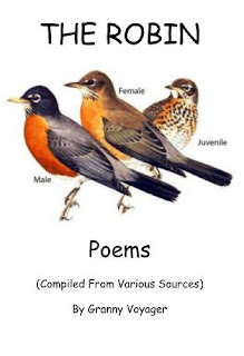 The Homeschool Voyager: The Red Robin Returns