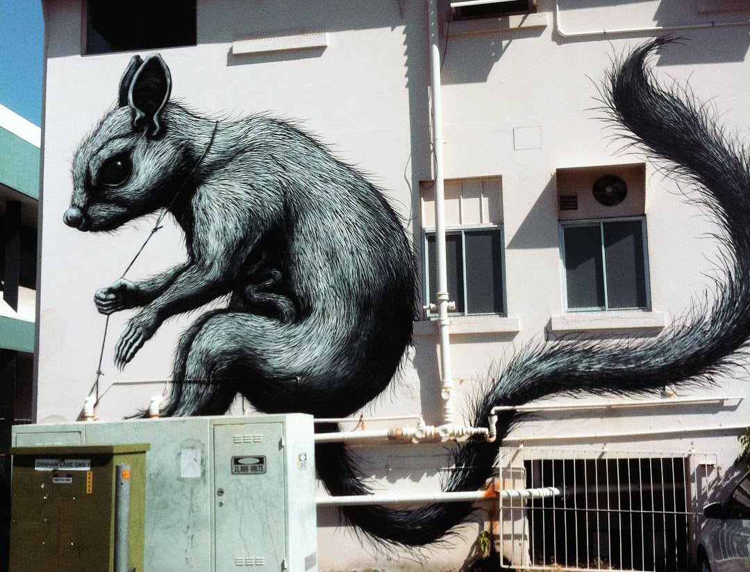ROA creates a series of new pieces in Townsville, Australia – StreetArtNews