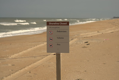 Bill's OBX Beach Life: Cape Point Near Buxton, Hatteras' Area 51