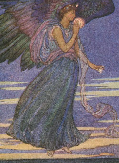 An angel finding wings