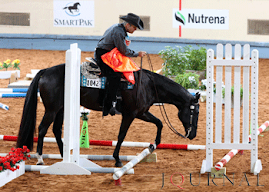 AP Quarter Horses: Practicing Trail Course Obstacles