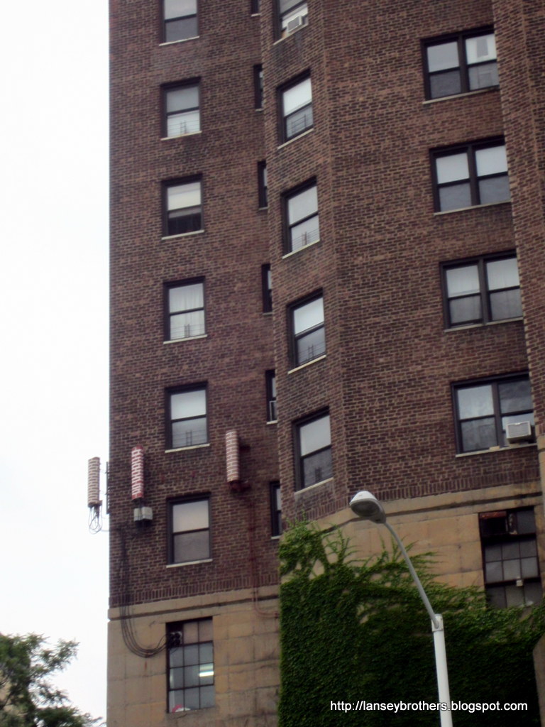 The Lansey Brothers' Blog: Cell phone tower camouflage