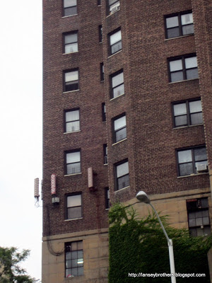 The Lansey Brothers' Blog: Cell phone tower camouflage