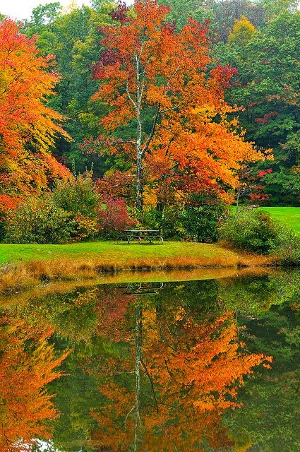 October Reflections ~ Photos Hub