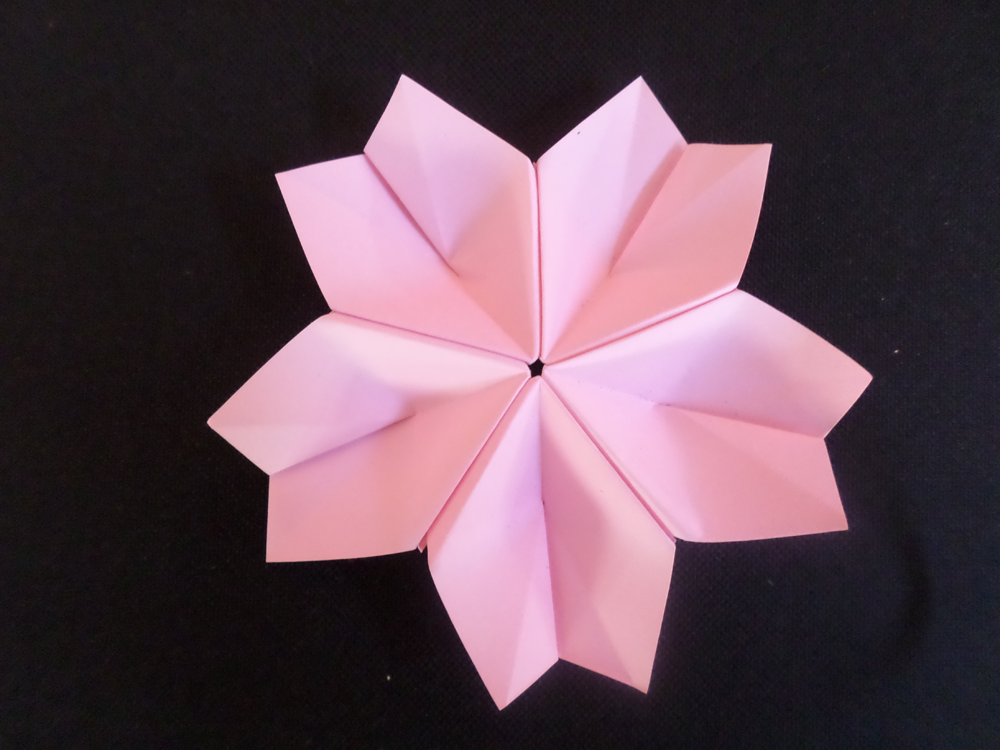 Flores e Flores: Flor de Cerejeira (Sakura) de Origami
