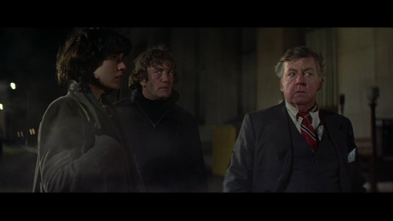 Happyotter: WOLFEN (1981)