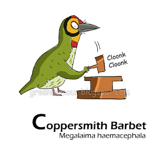 Green Humour: The Green Humour Birding Guide