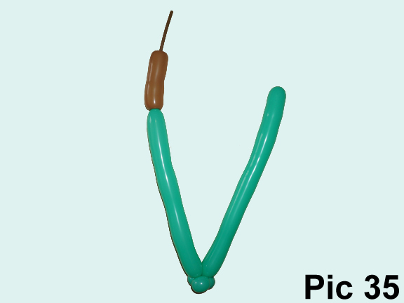 CLASSICAL: Cattail balloon flower