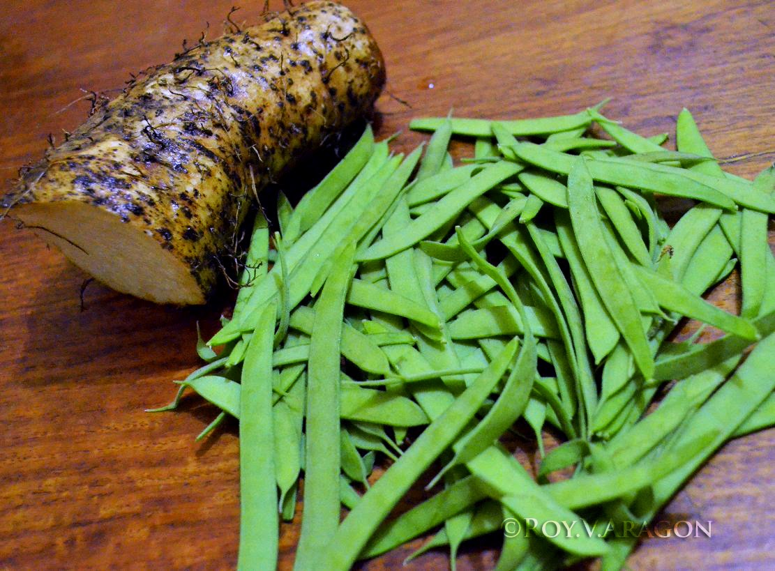 dinengdeng/baradibud a kamangeg, samsamping, parda ken kabatiti; wild ...