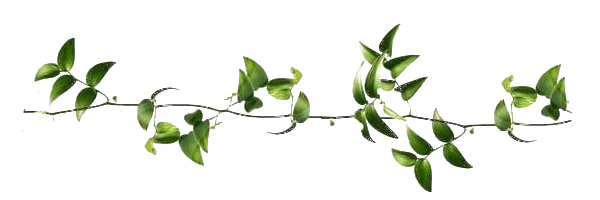 Enredaderas animadas - Imagui