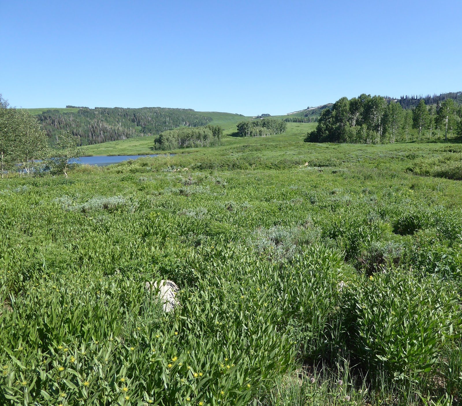 Whistling Prairie: Camping at Fairview Lakes