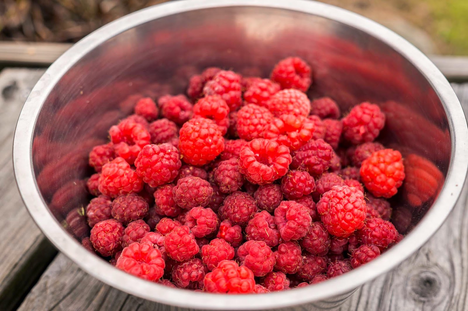 Mat och odla: Hallon, hallon, massor med hallon!