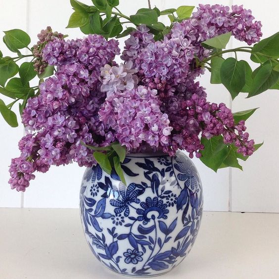 CHIC AND YE SHALL FIND: IT'S LILAC SEASON!