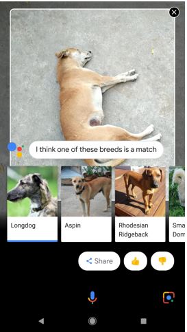 How To Activate & Use the Google Lens on Your Android Phone Assistant app