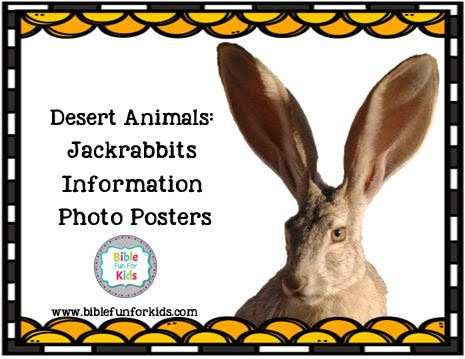 God Makes the Desert Animals: Jackrabbits | Bible Fun For Kids