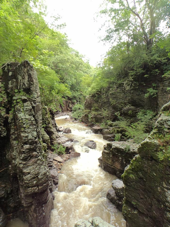 Mi Cultura: Lislique